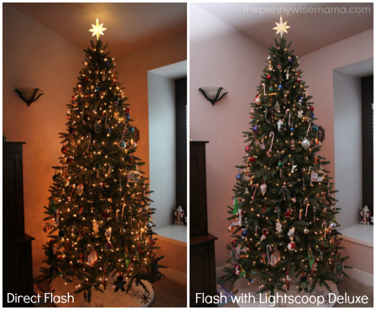 Want Better Quality Photos? Try the Lightscoop Deluxe! {Review ...