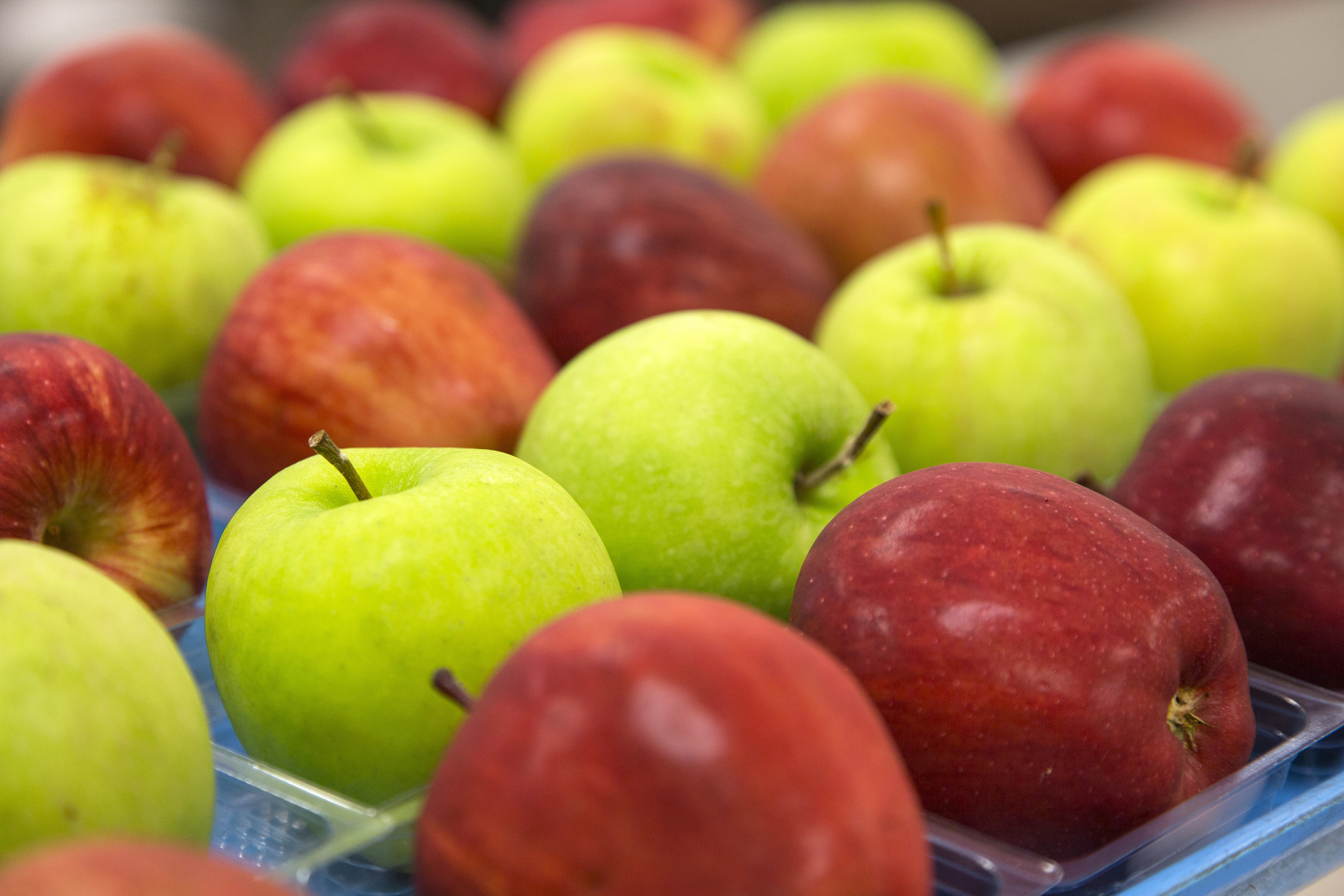 Exciting Changes Being Made To School Lunches The PennyWiseMama