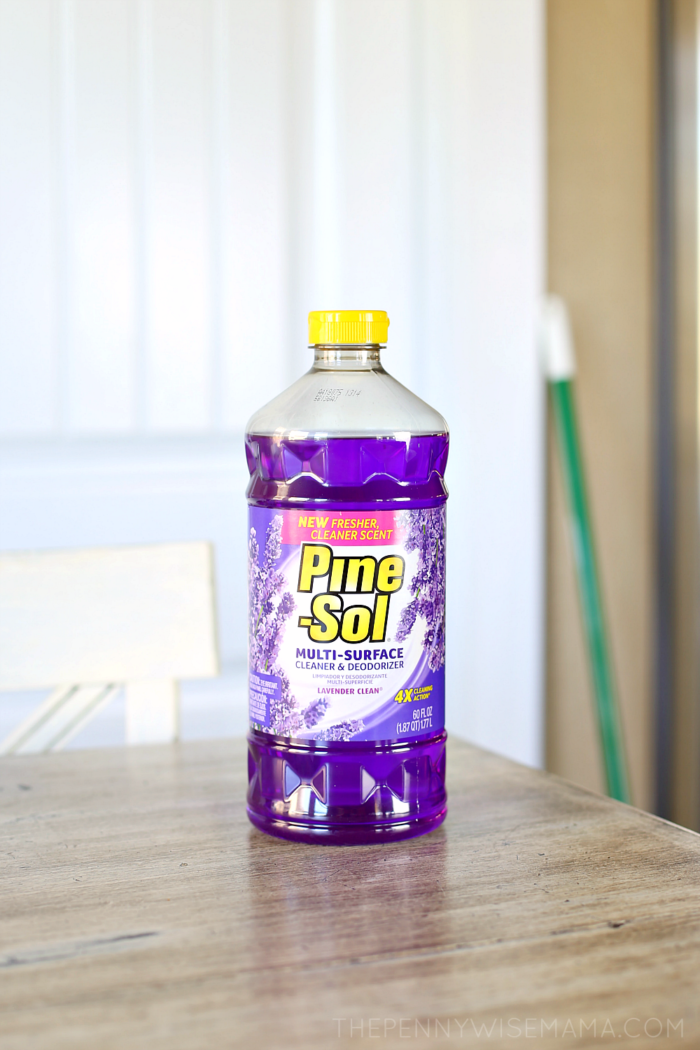 Make Cleaning Fun! Pine-Sol My Clean Moves Contest – The PennyWiseMama
